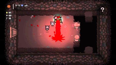 the binding of isaac rebirth infinite enemy health glitch youtube