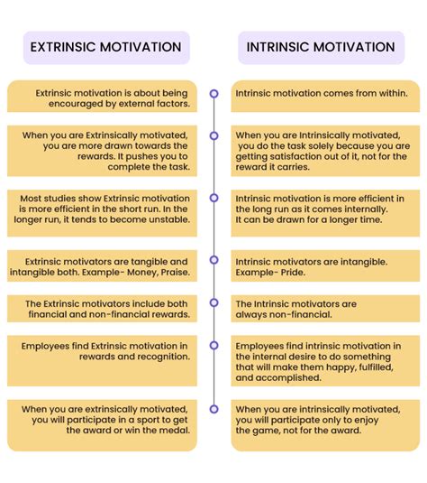 Extrinsic Motivation All You Need To Know