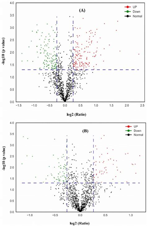 Volcano Plots Showing The Differentially Expressed Proteins Allocation