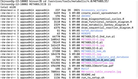 mv cannot stat metabolic result xlsx no such file or directory