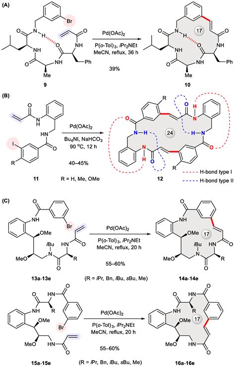 Ijms Free Full Text Heck Macrocyclization In Forging Non Natural