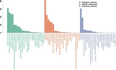 Transcriptome Analysis Reveals Carbohydrate Mediated Liver Immune