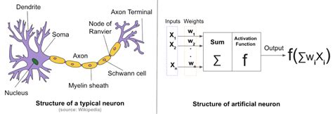 neural network showdown tensorflow vs pytorch activestate