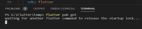 [solved] flutter waiting for another flutter command to release the