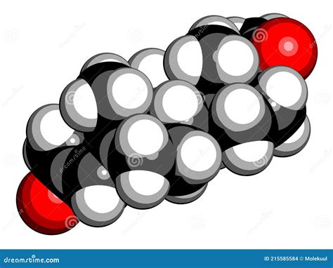 Progesterone Female Sex Hormone Molecule Plays Role In Menstrual Cycle
