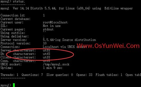 修改mysql数据库字符编码为utf 8解决中文乱码 阿里云开发者社区