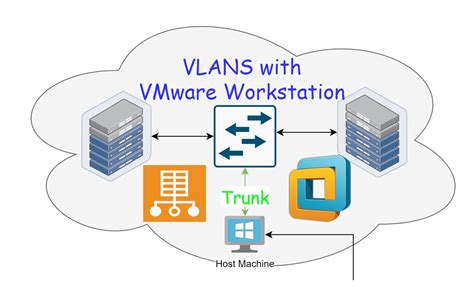 how to passthrough vlan tags to vmware workstation virtual machines