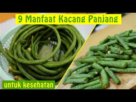 Temukan Manfaat Makan Kacang Panjang Yang Jarang Diketahui Solider