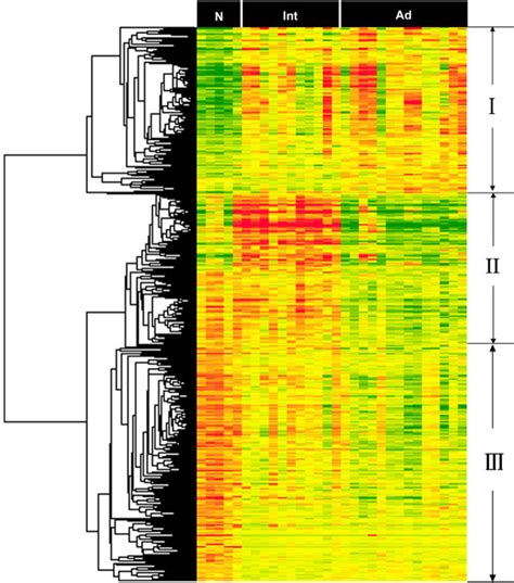Hierarchical Clustering Analysis Of The Differentially Expressed Genes