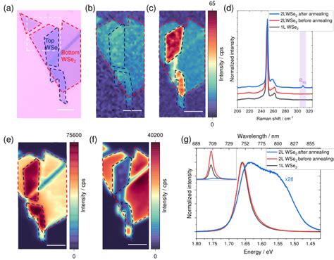Raman And Pl Measurements Of Monolayer And Bilayer Wse2 A Optical