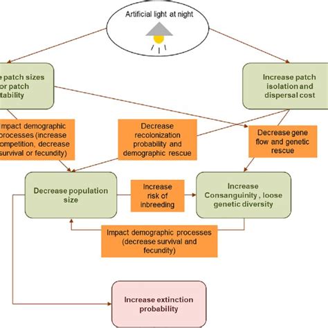 Framework For Understanding The Effects Of Alan On Ecological Networks