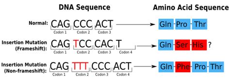 mutations