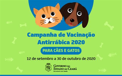 Campanha De Vacinação Antirrábica Começa Sábado 12 Governo Do Estado
