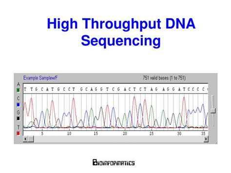 Ppt High Throughput Dna Sequencing Powerpoint Presentation Free