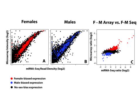 comparison of array and rna seq data for measuring differential gene