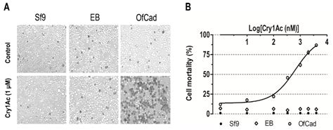 Toxins Free Full Text Cadherin Protein Is Involved In The Action Of
