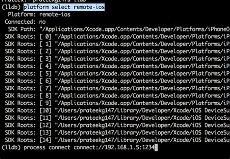 ios application security part 41 debugging applications using lldb