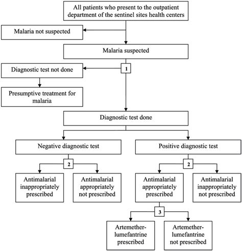 malaria case management decision algorithm numbers highlight the three