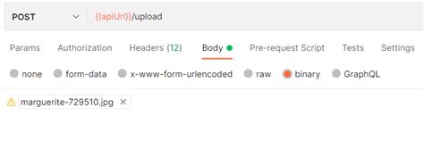 php how to get an uploaded file as request body in laravel stack