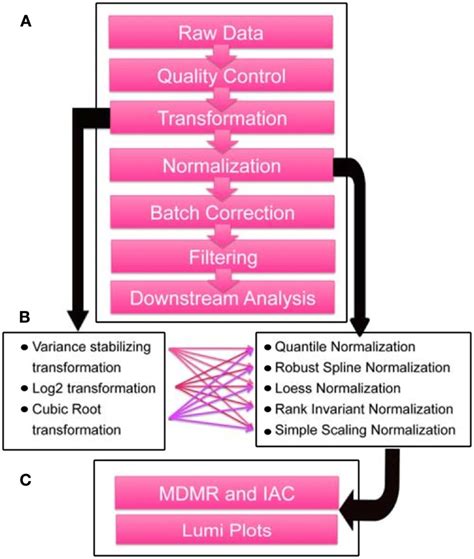 data preprocessing steps and quality assessment scheme a flowchart