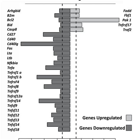 A Heat Map Showing The Comparisons Of Differential Gene Expression Of