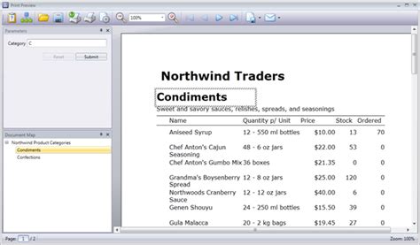 document map and parameter support in wpf and silverlight report viewer
