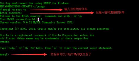 快速与mysql交互，使用xmapp打开mysql数据库，并用shell进行与mysql交互 阿里云开发者社区