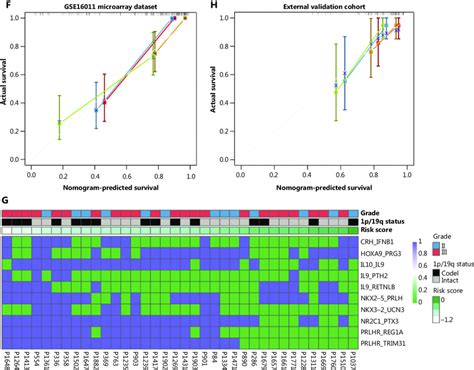 The Performance Of The Nomogram In The Training And Validation Cohorts