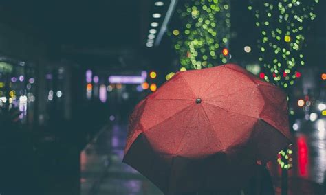 Our Constitutional Challenge To Pcepa – Canadian Alliance For Sex Work