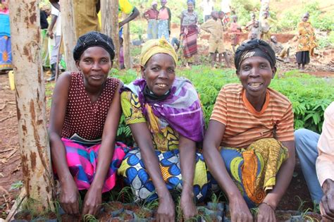 Global Poverty Reduction The Borgen Project
