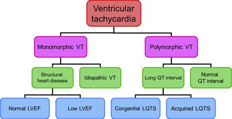 Nonsustained Ventricular Tachycardia In The Normal Heart Cardiac
