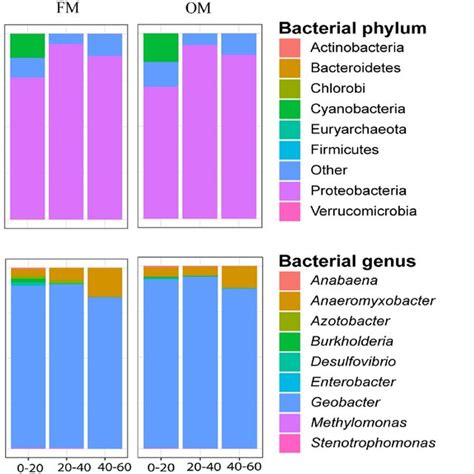 Distribution Of Diazotrophs Phyla A And Genera B “other” Indicates