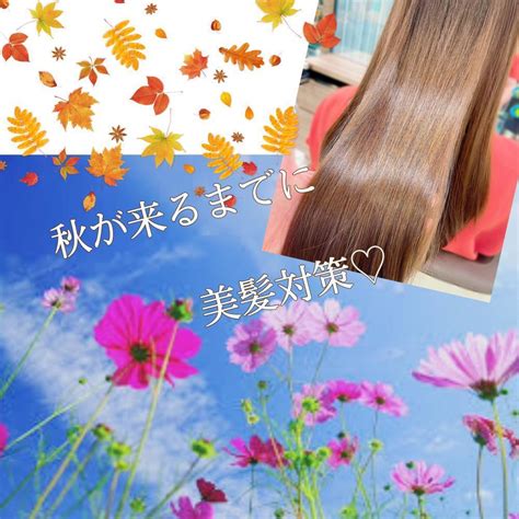 ★夏の紫外線で日焼けした髪と頭皮、秋に向けて‥これからどうする？！アフターケアの方法は？｜コラム Ash 高円寺店 岡田 千英里｜ash