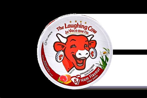 Delicious Cheese Recipes The Laughing Cow
