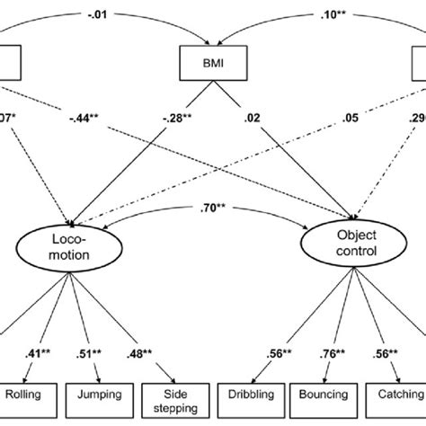Confirmatory Factor Analysis With The Covariates Sex Bmi And Age