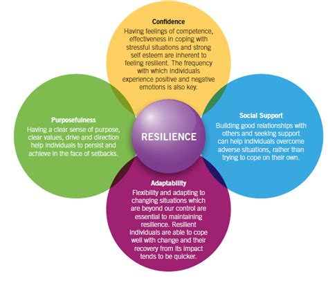 Resilience And Adaptability