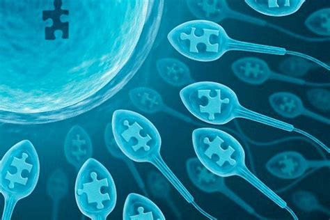 The 5 Best Male Fertility Supplements On The Market