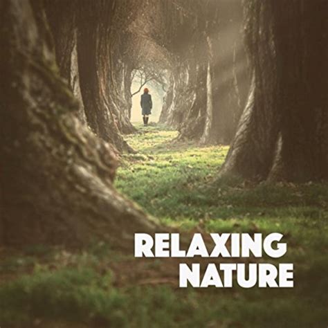 Play Relaxing Nature By Relaxing Rain Sounds Deep Sleep Rain Sounds