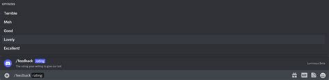 slash command choices discord documentation
