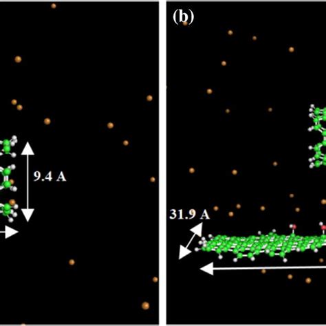 Representative Final Equilibrium Simulation Snapshots Of Adsorption Of