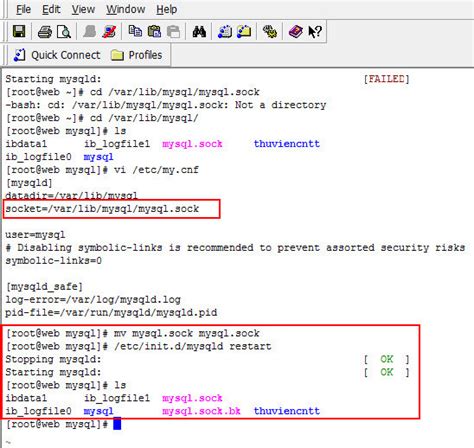 fix lỗi another mysql daemon already running with the same unix socket