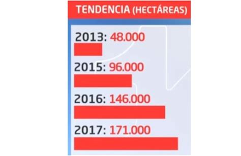 Colombia Llegó A 171 Mil Hectáreas De Hoja De Coca En 2017 Zona Cero
