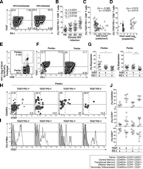 Hiv Gag Specific Cd8 T Cells Co Express Tigit And Pd 1 And Exhibit A