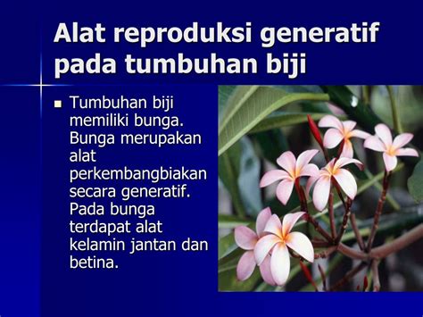 Alat Reproduksi Generatif Pada Tumbuhan Biji Kumpulan