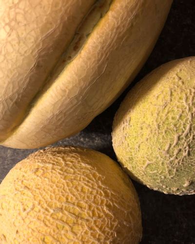 How To Grow Melons From Seed Adams Garden Of Eatin In 2022