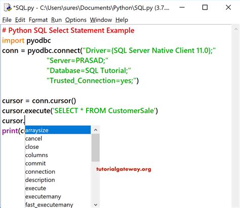python sql select statement