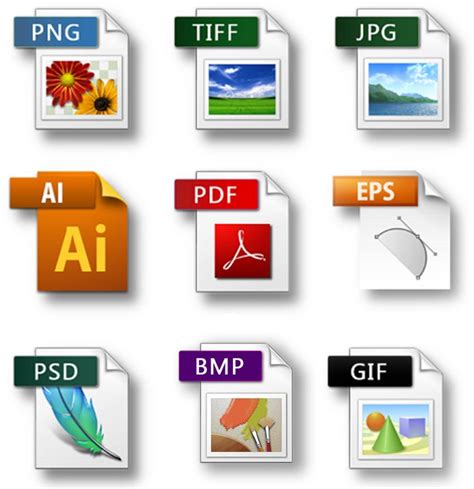 what is file format and its types computer hindi notes