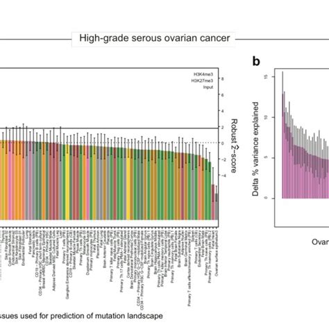 High Grade Serous Ovarian Cancer Best Matches Fallopian Tube
