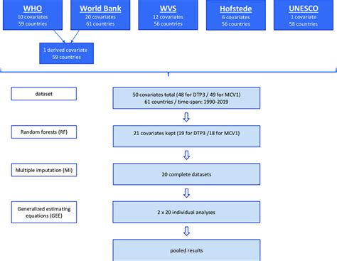 Flow Chart Of Analytical Steps Example Of The Main Branch Download
