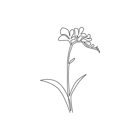 Premium Vector One Continuous Line Drawing Freesia Wall Decor Art